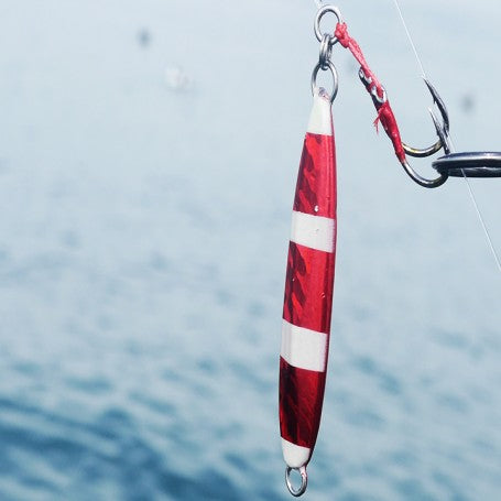 Anchovy Locator Video – Ocean Angler AU